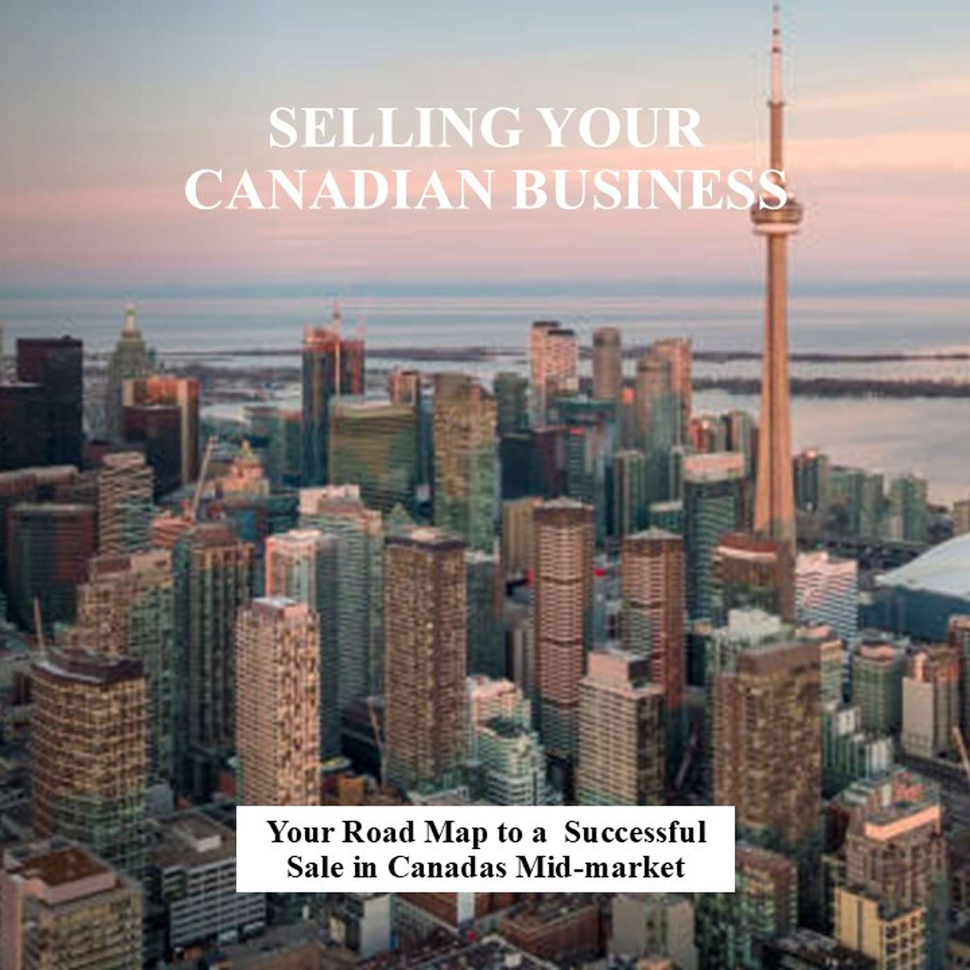 Choosing the Right Sell-Side Strategy for Your Canadian Business ...