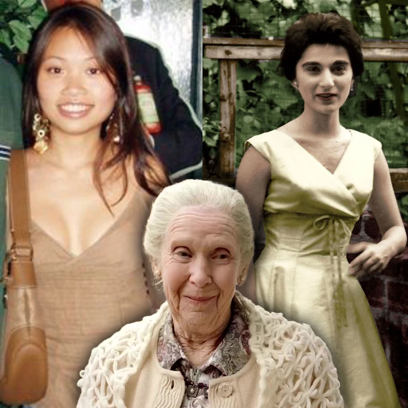 People Witnessing a Murder Do NOTHING (Kitty Genovese) & The Vicious ...