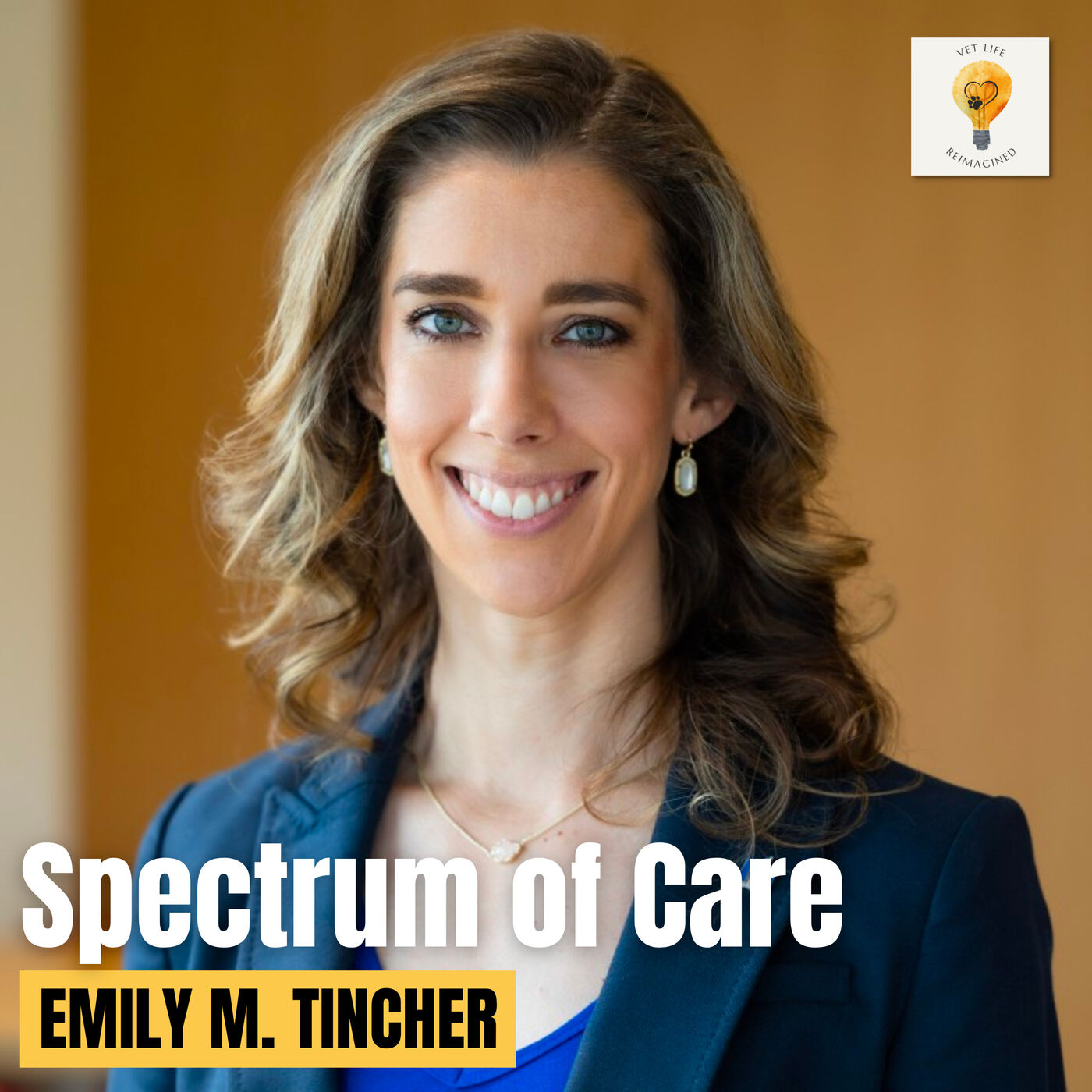 Finding your ideal path in vet med & what to know about vet spectrum of ...