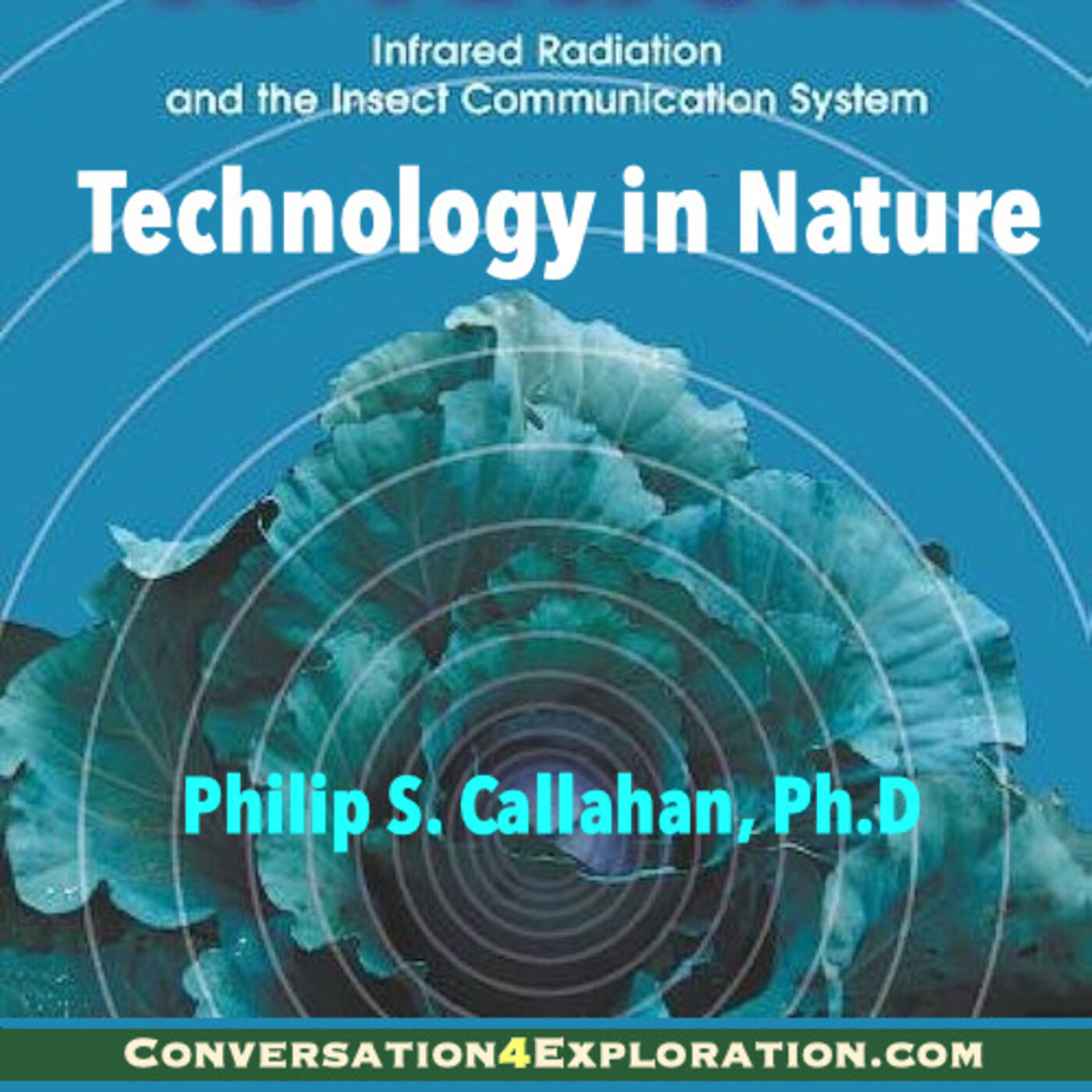 Technology in Nature: Understanding Insect Infrared Detection - Philip ...