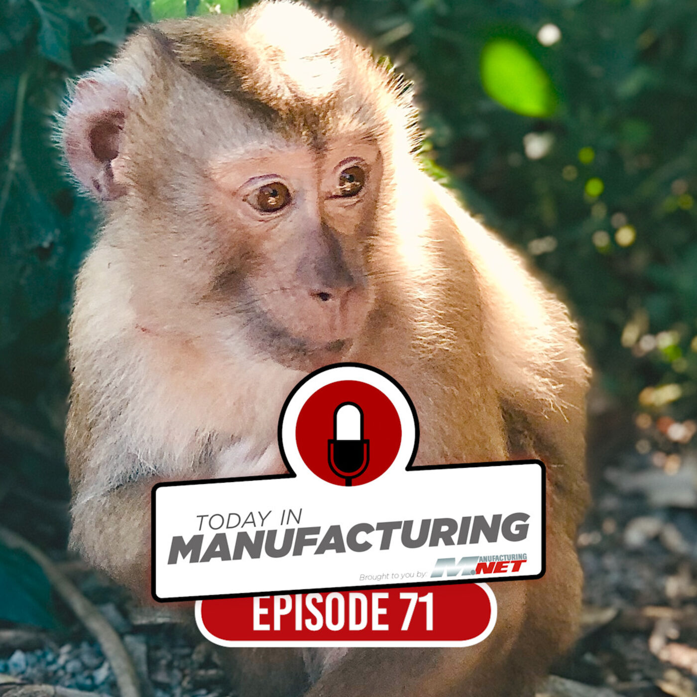 Forced Monkey Coconut Labor, Deere Move Jobs to Mexico, Jeep Tips Over ...