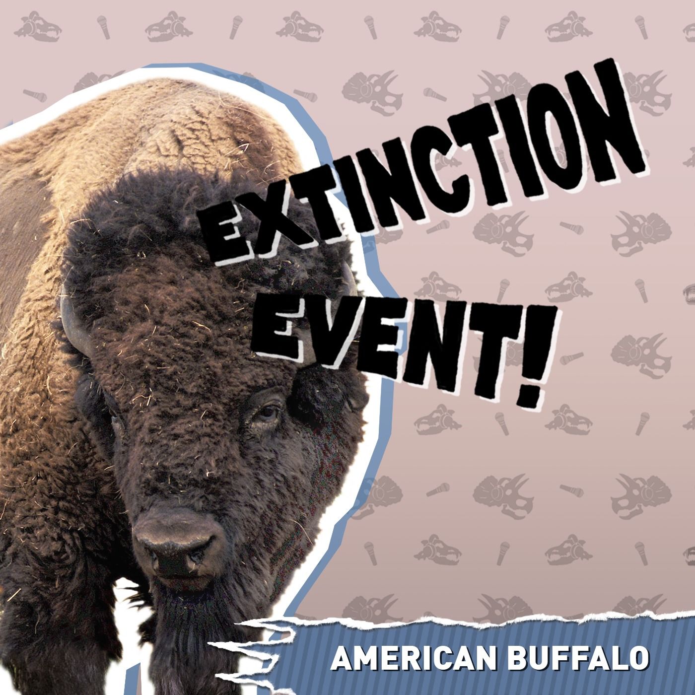 American Buffalo – Extinction Event – Podcast – Podtail