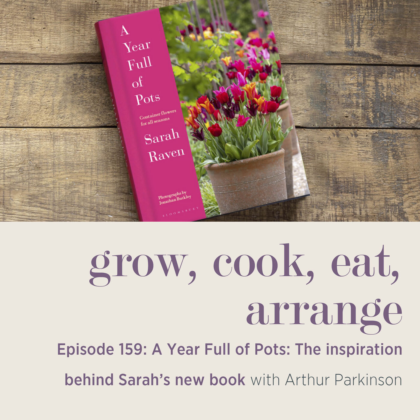 A Year Full of Pots: The Inspiration Behind Sarah’s New Book with ...