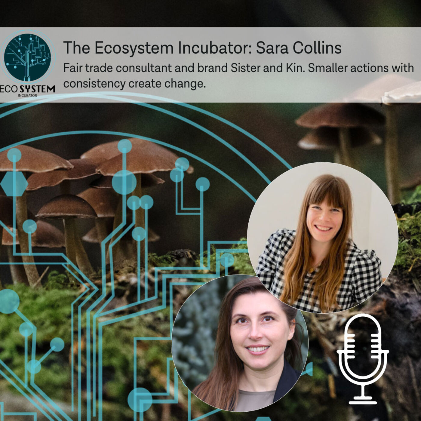 The Ecosystem Incubator, Collaborator Series, Sara Collins, Sister and ...