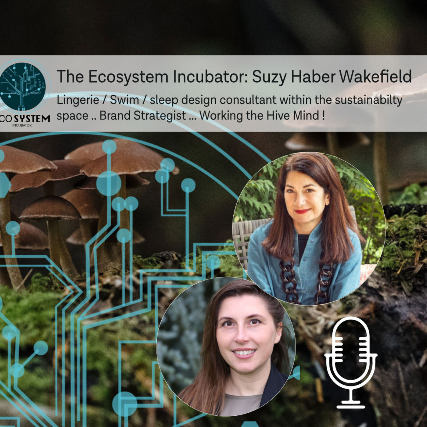 The Ecosystem Incubator, Collaborator Series, Suzy Haber Wakefield ..Working the Hive Mind – The ...
