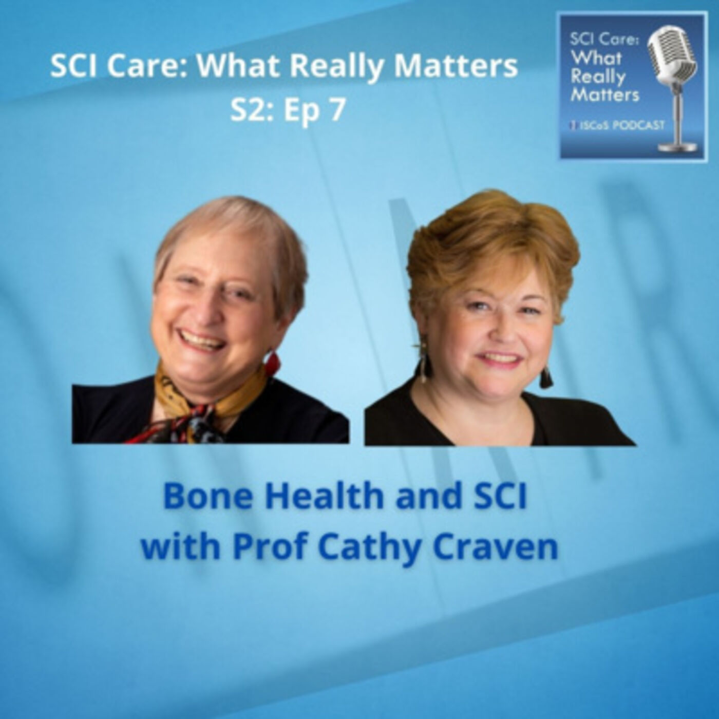 Bone Health and Spinal Cord Injury with Prof Cathy Craven – SCI Care ...