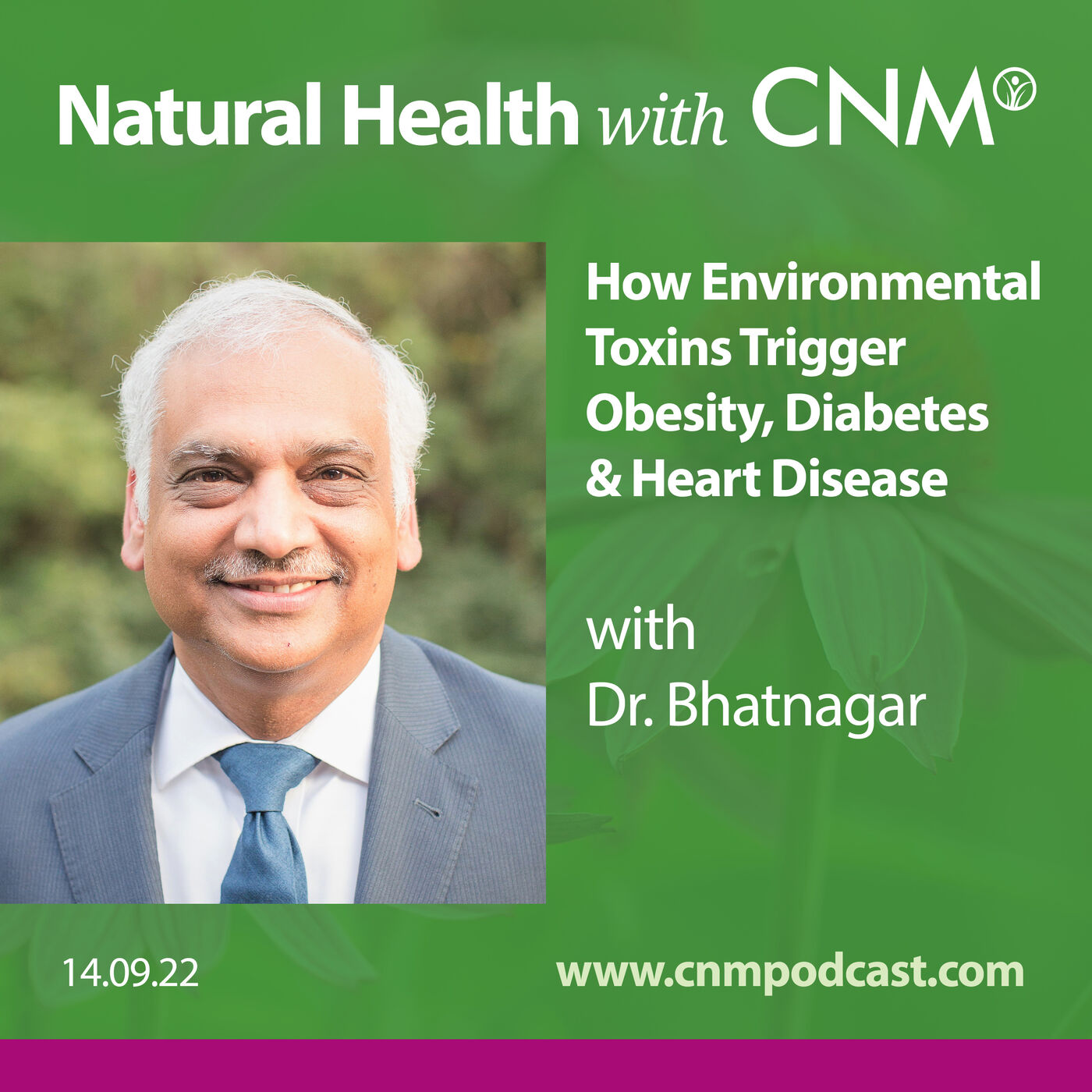 How Environmental Toxins Trigger Obesity, Diabetes & Heart Disease with ...