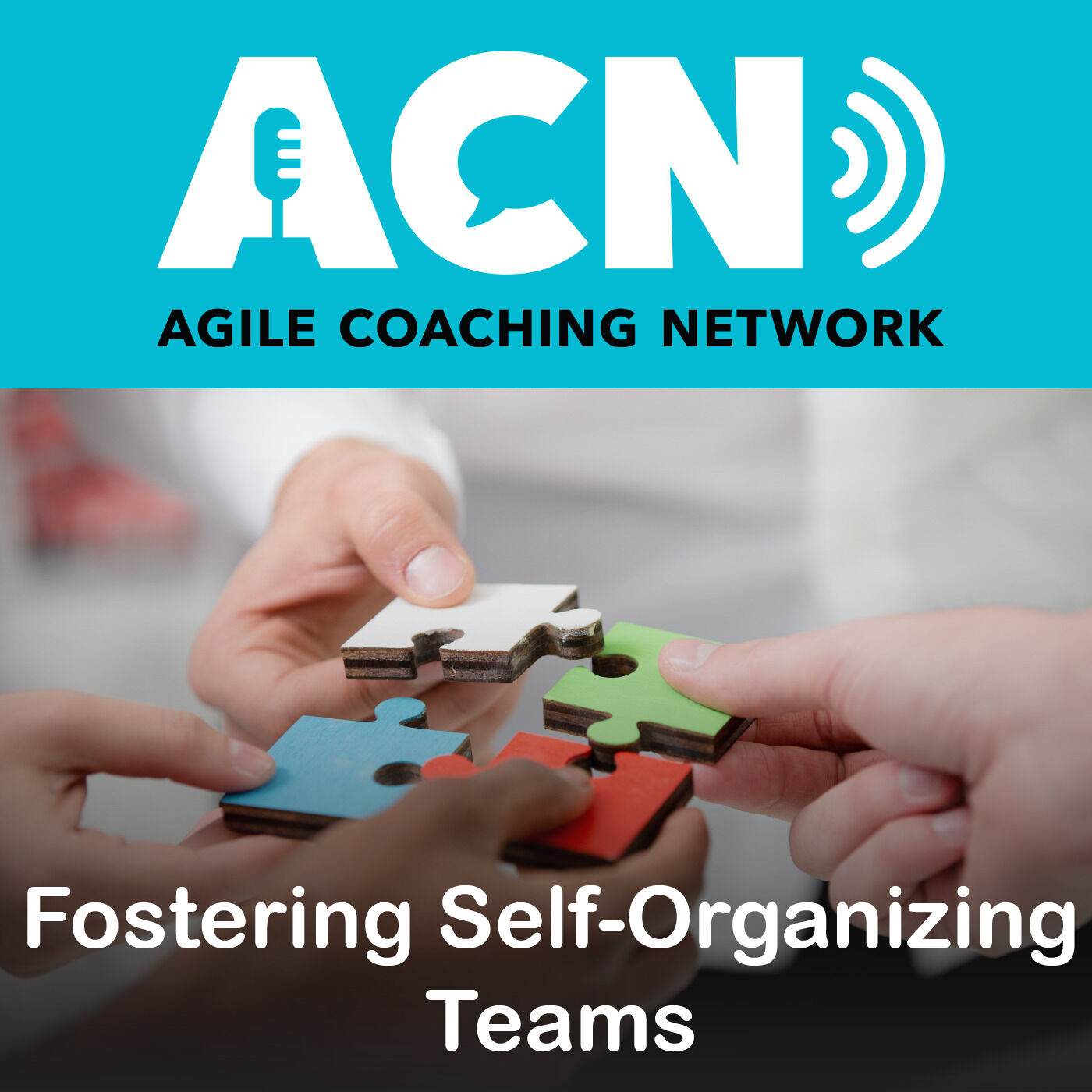Fostering Self-Organizing Teams and Agile for Hardware Development ...