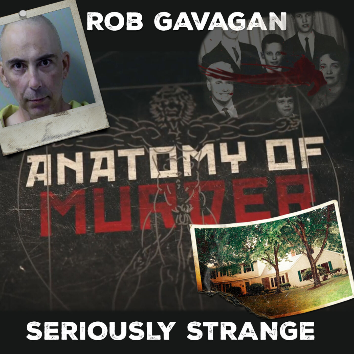 The Robison Family Murders, Cheshire Home Invasion Murders & Bow ...