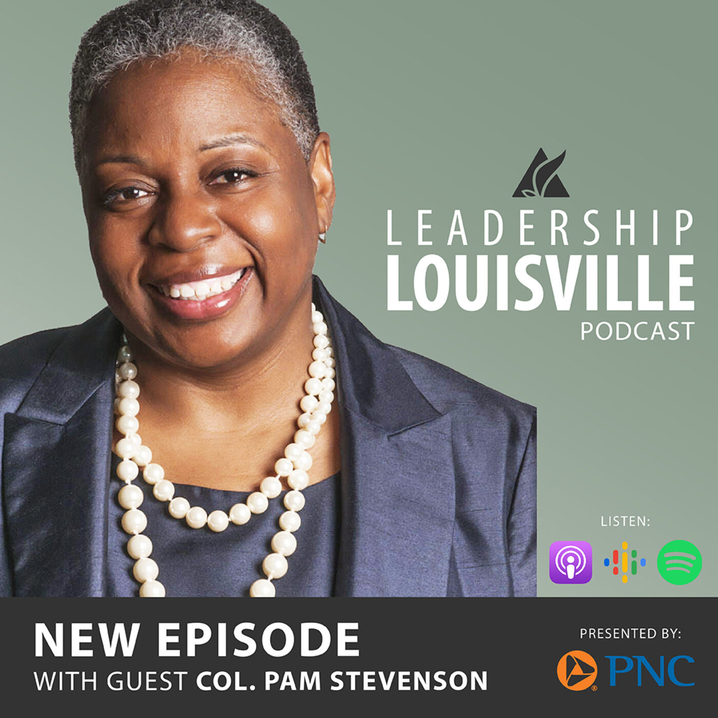 Col. Pam Stevenson, State Representative – The Leadership Louisville ...