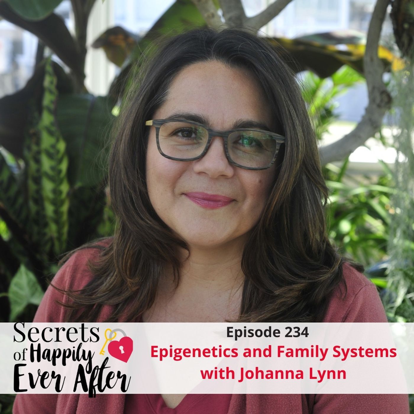 Ep 234 Epigenetics and Family Systems with Johanna Lynn - Secrets of ...