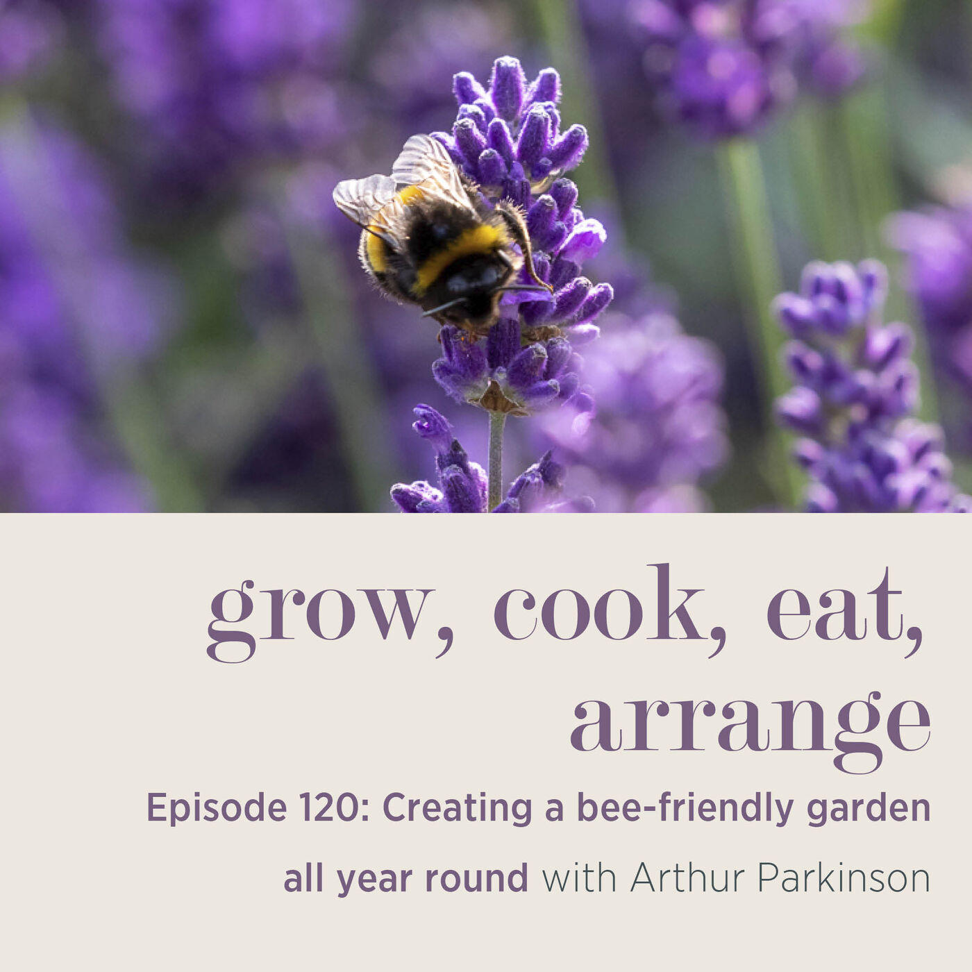 Creating a Bee-Friendly Garden All Year Round with Arthur Parkinson ...
