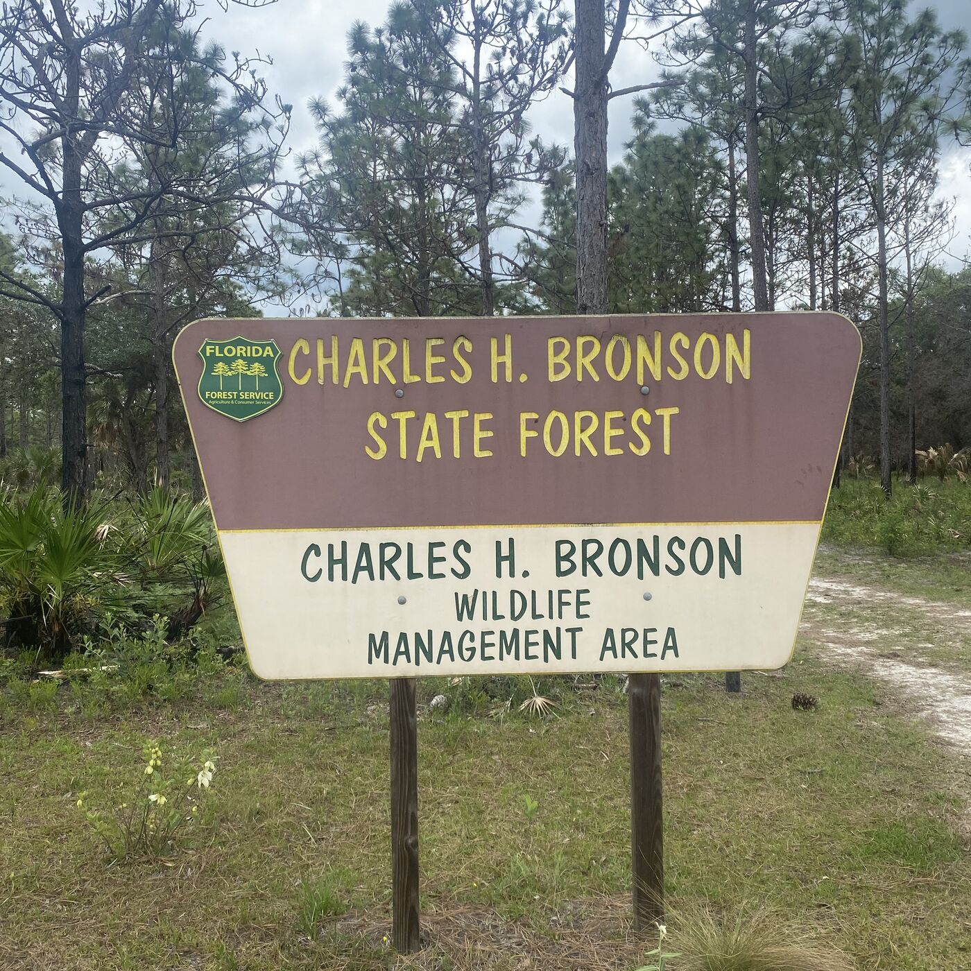 Central Florida's Hidden Gem: Charles Bronson State Forest – The ...