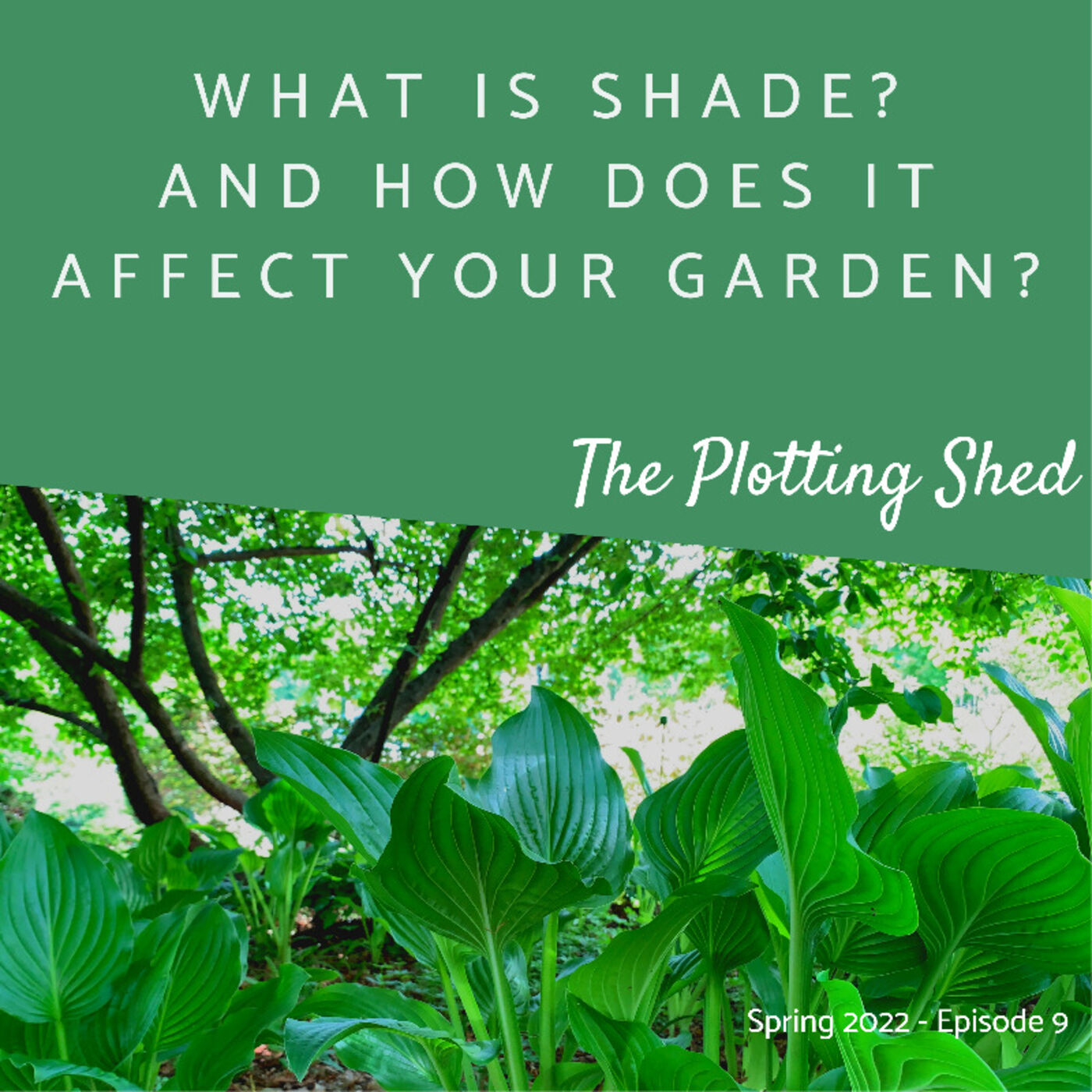 What is Shade and how does it affect your Garden? – The Plotting Shed ...