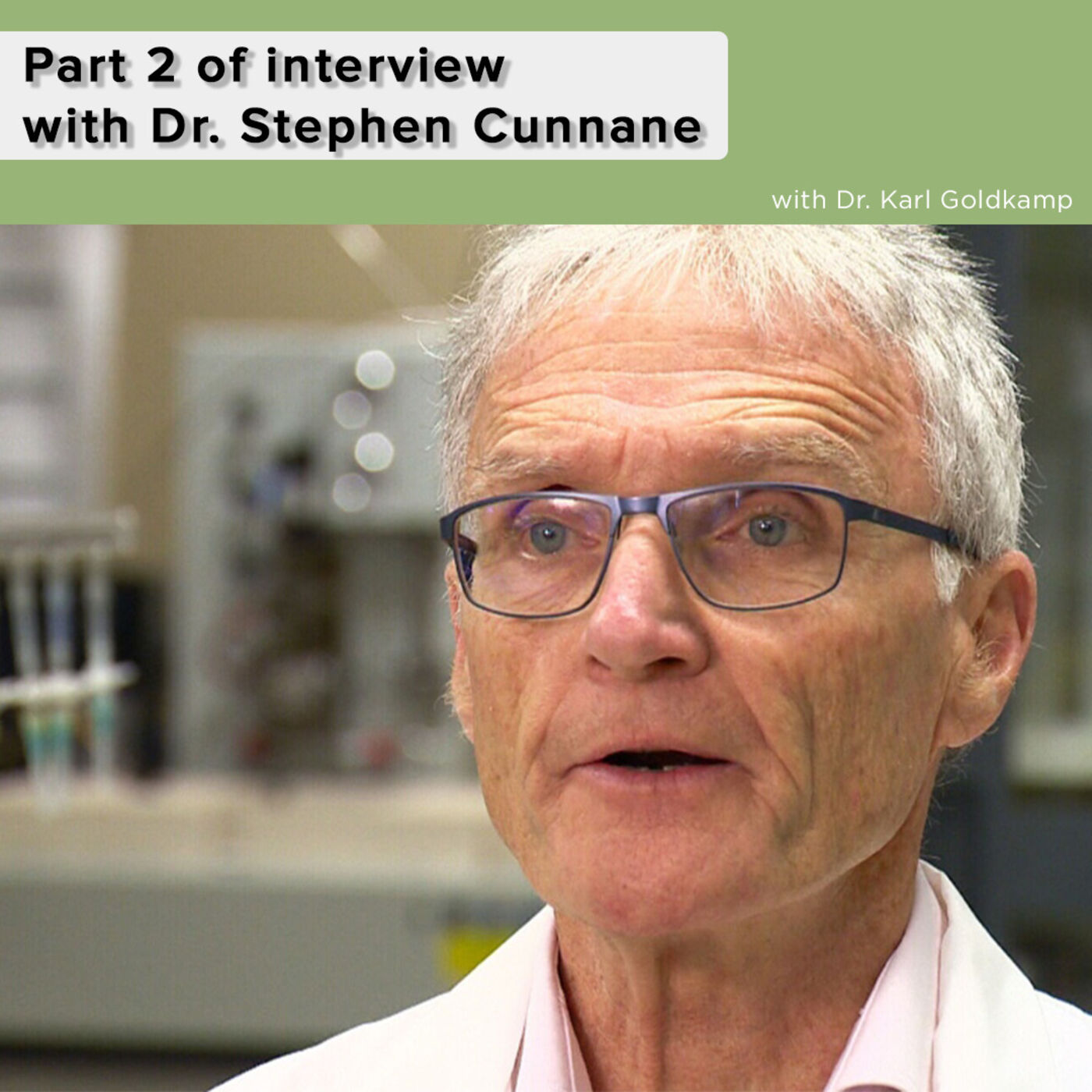 Part 2 of interview with Dr. Stephen Cunnane « Keto Naturopath