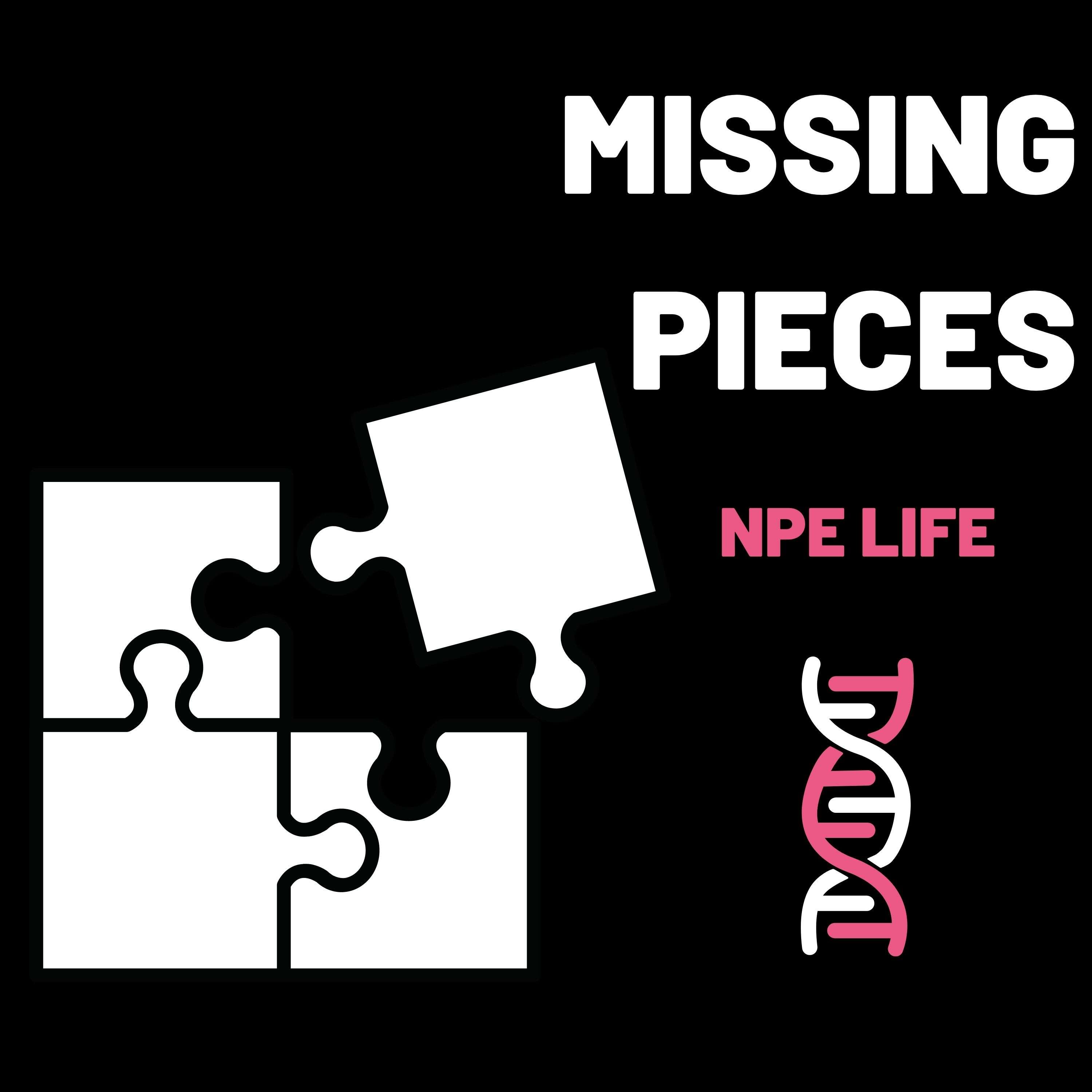 Missing Pieces