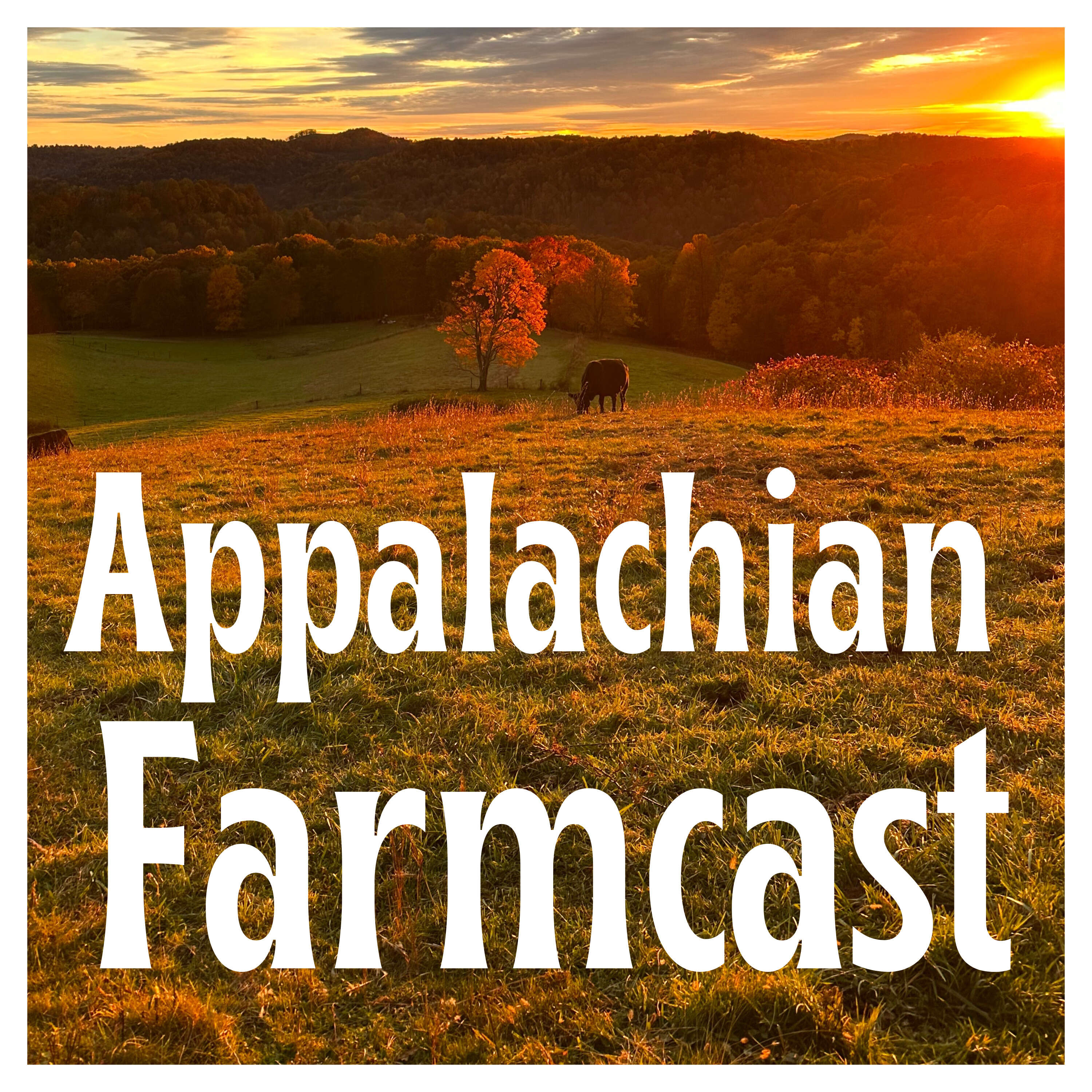 Appalachian Farmcast - Business Podcast | Podchaser