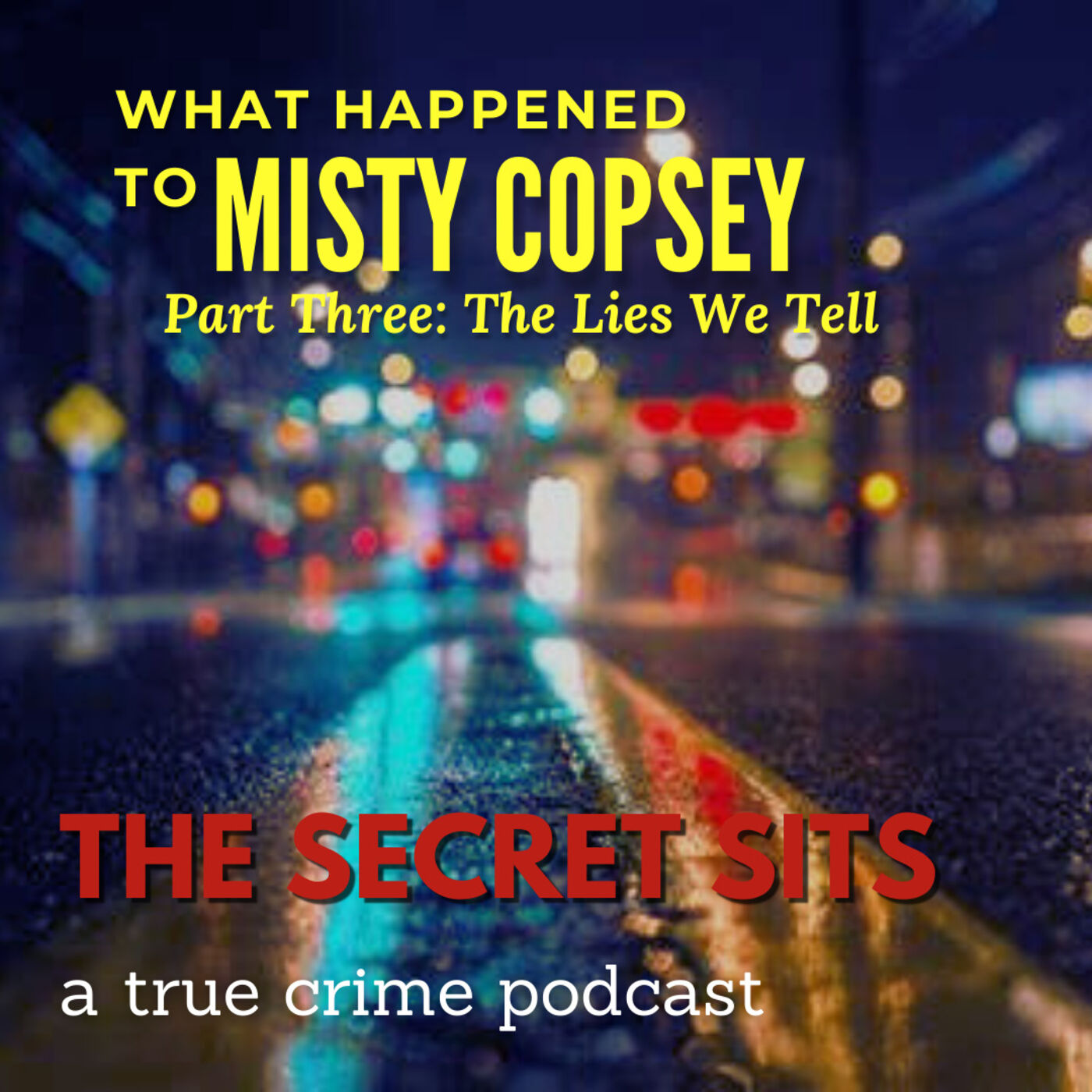 What Happened to Misty Copsey: Part Three - The Lies We Tell – The ...