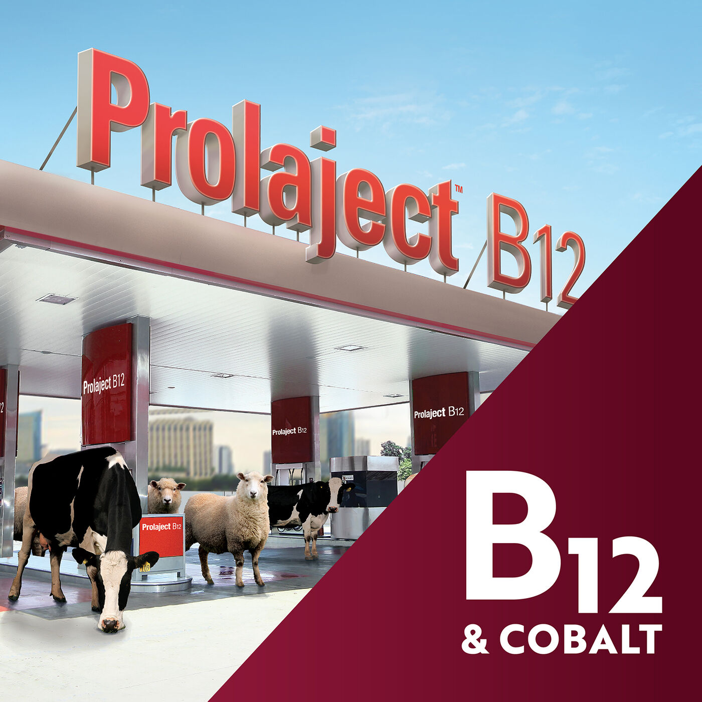 Animal Health NZ – Podcast – Podtail