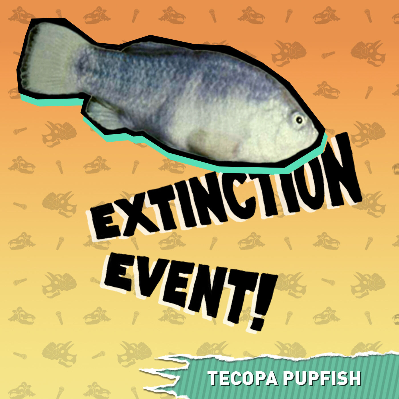 Tecopa Pupfish – Extinction Event – Podcast – Podtail