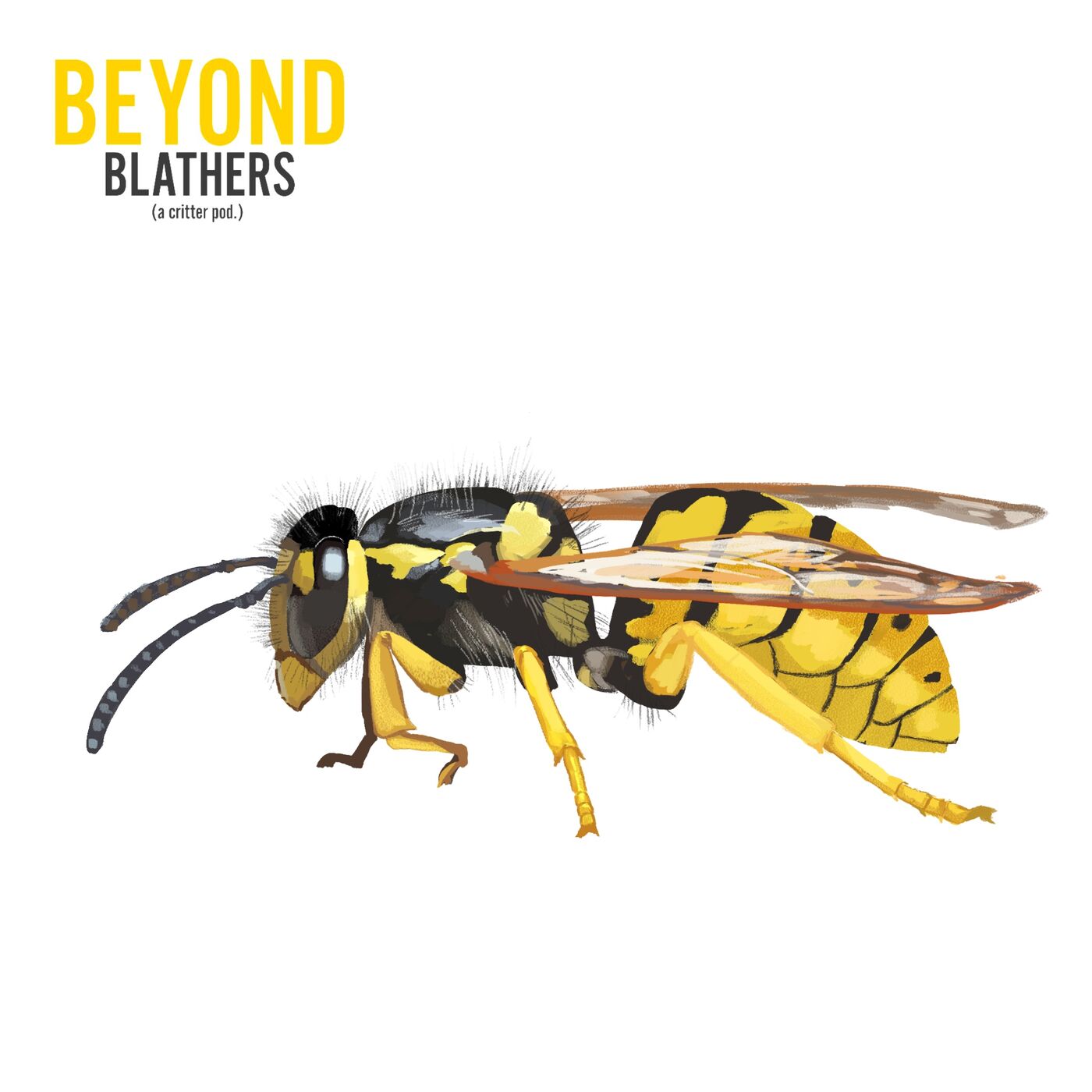 Wasps (Part 2) from Beyond Blathers on Hark