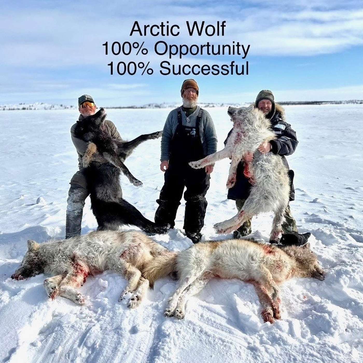 Inside BlueSky Outfitting: Remote Lodges, Waterfowl, And Wolf ...