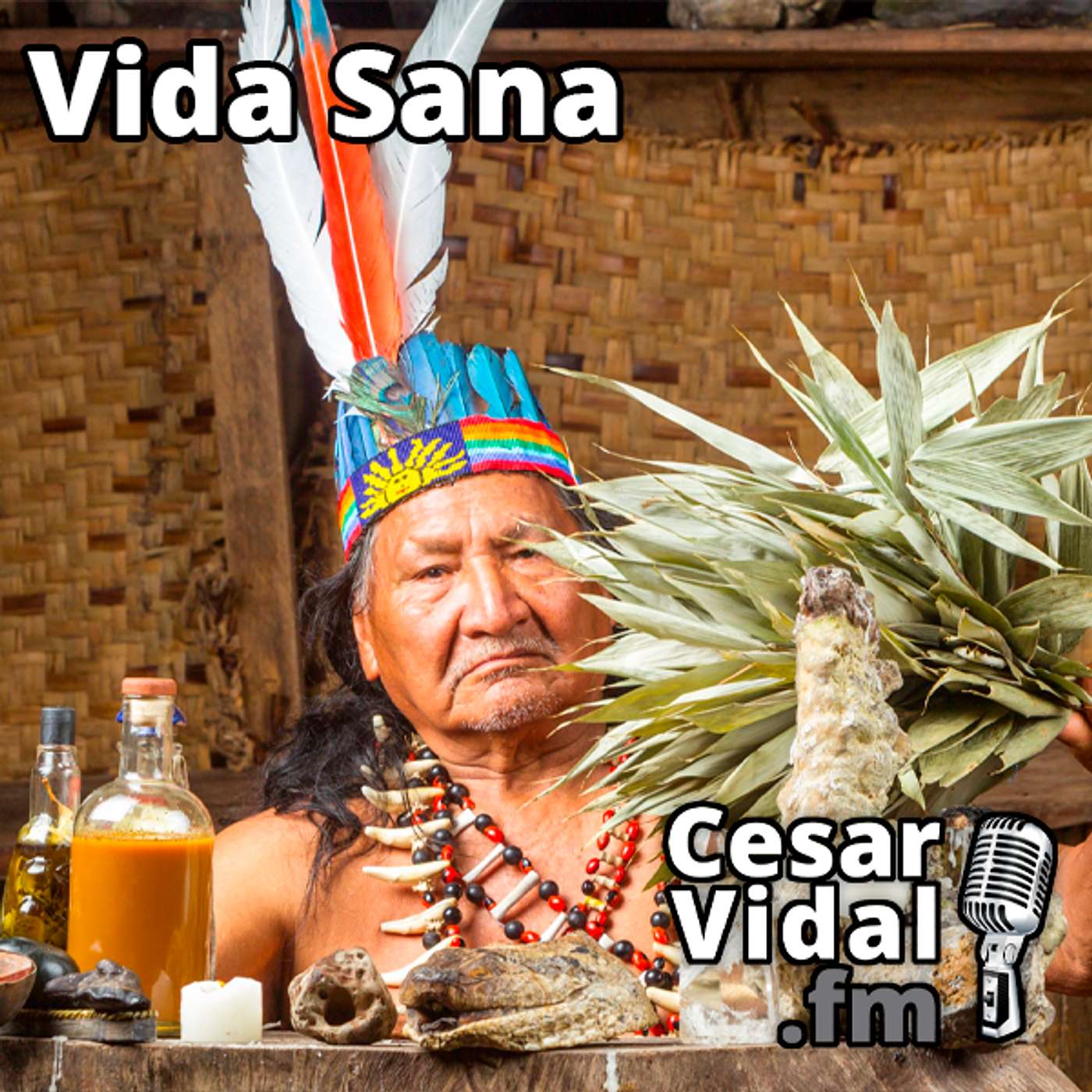 Vida Sana: Ayahuasca: La soga del muerto - 15/05/24 – La Voz de César ...